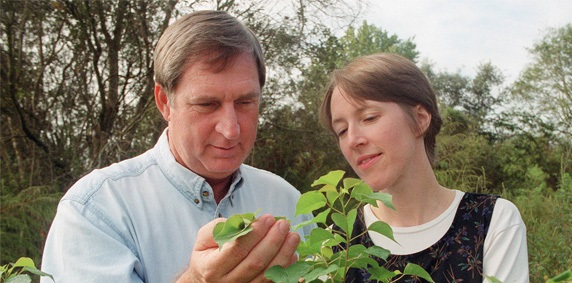 UF/IFAS | PDEC | Program Development & Evaluation Center